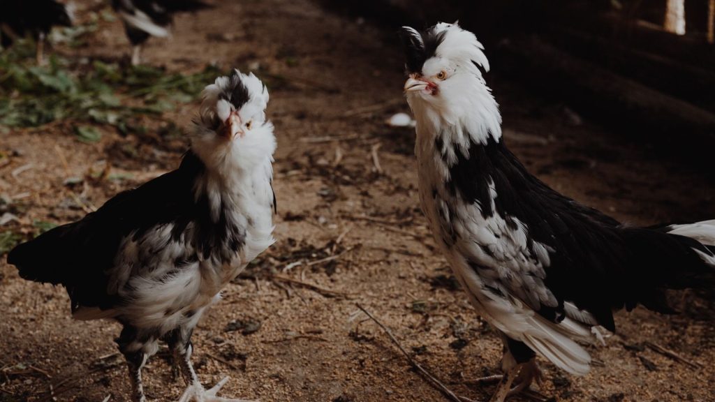 Home - Sainte-Marie among the Hurons